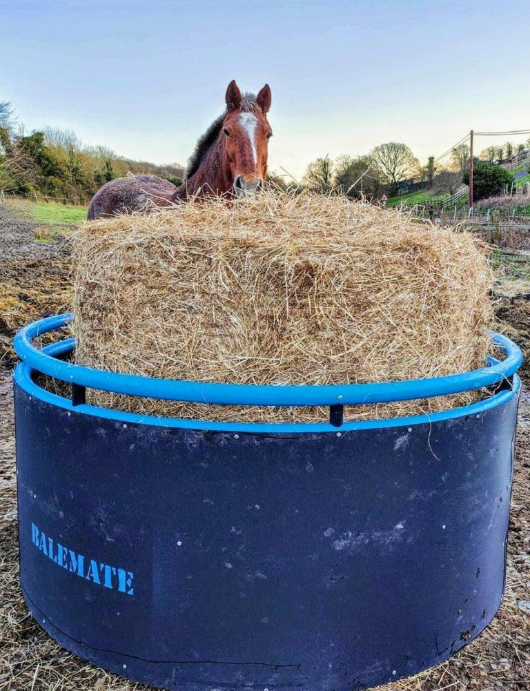 BaleMate
